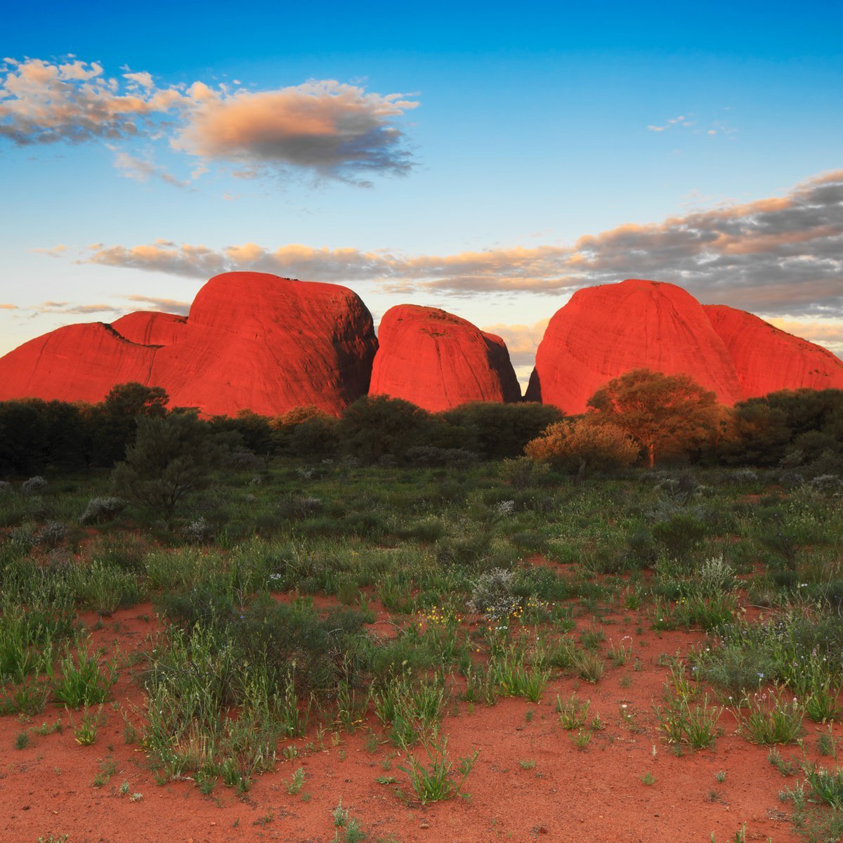 Amazing facts | Uluṟu-Kata Tjuṯa National Park | Parks Australia
