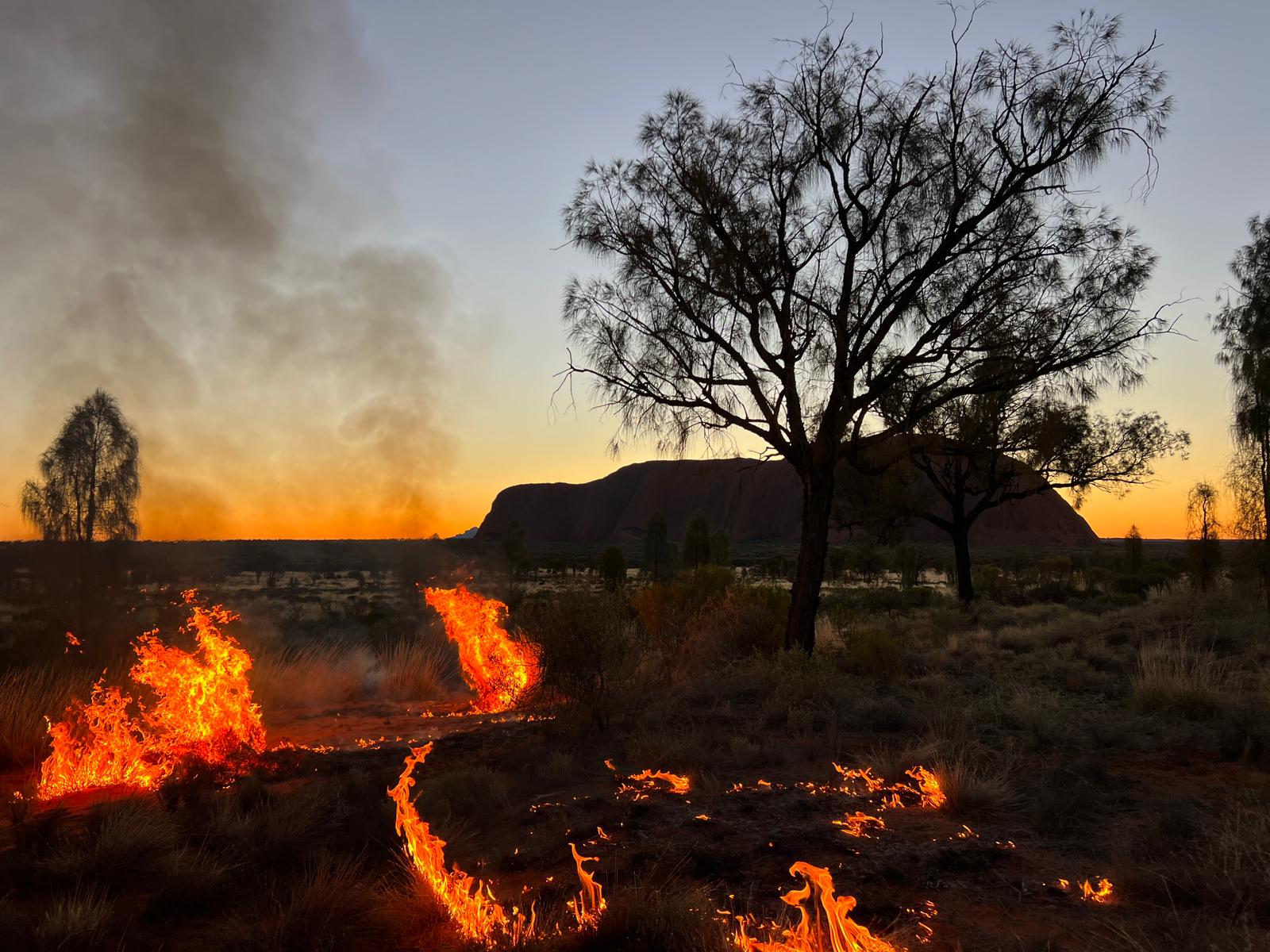 Program announced for Handback celebrations | Uluṟu-Kata Tjuṯa National ...