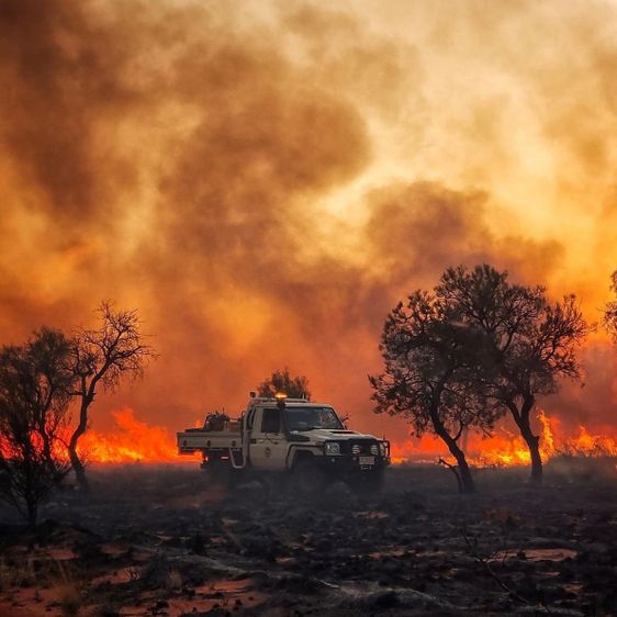 Nature | Uluṟu-Kata Tjuṯa National Park | Parks Australia