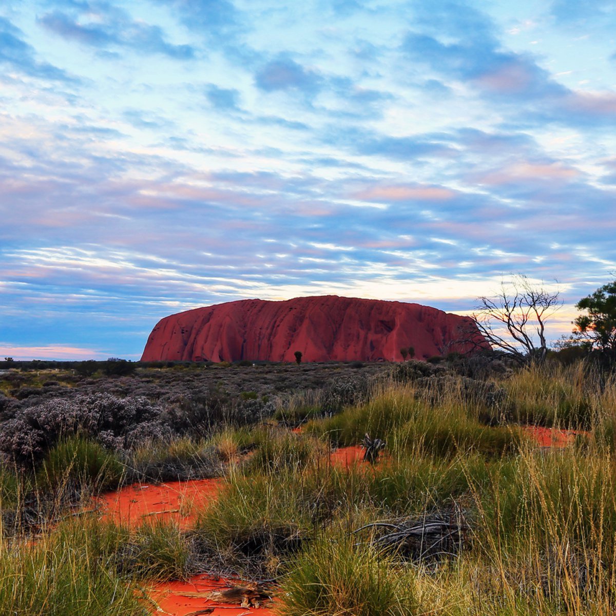 Highlights | Uluṟu-Kata Tjuṯa National Park | Parks Australia