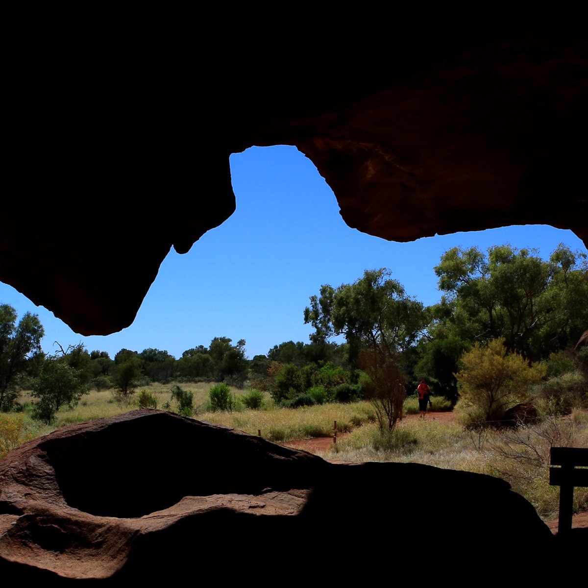 Factsheets | Uluṟu-Kata Tjuṯa National Park | Parks Australia