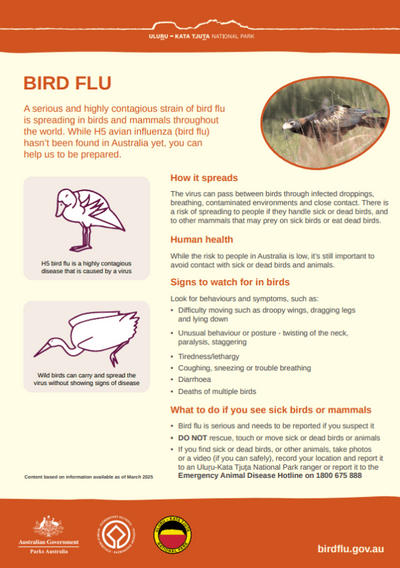 Bird flu | Uluṟu-Kata Tjuṯa National Park | Parks Australia