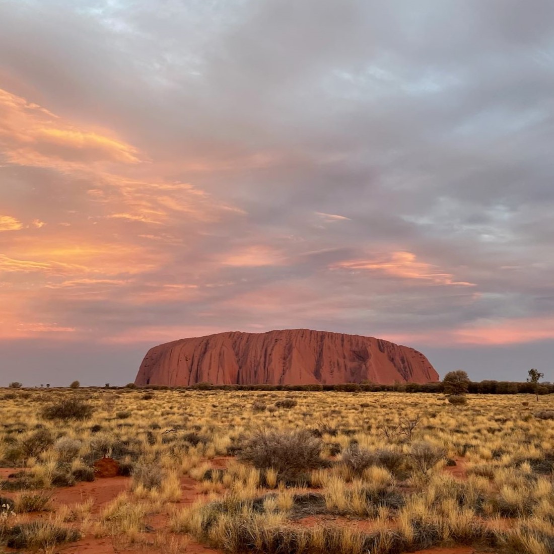 Uluṟu bus sunset viewing area | Uluṟu-Kata Tjuṯa National Park | Parks ...