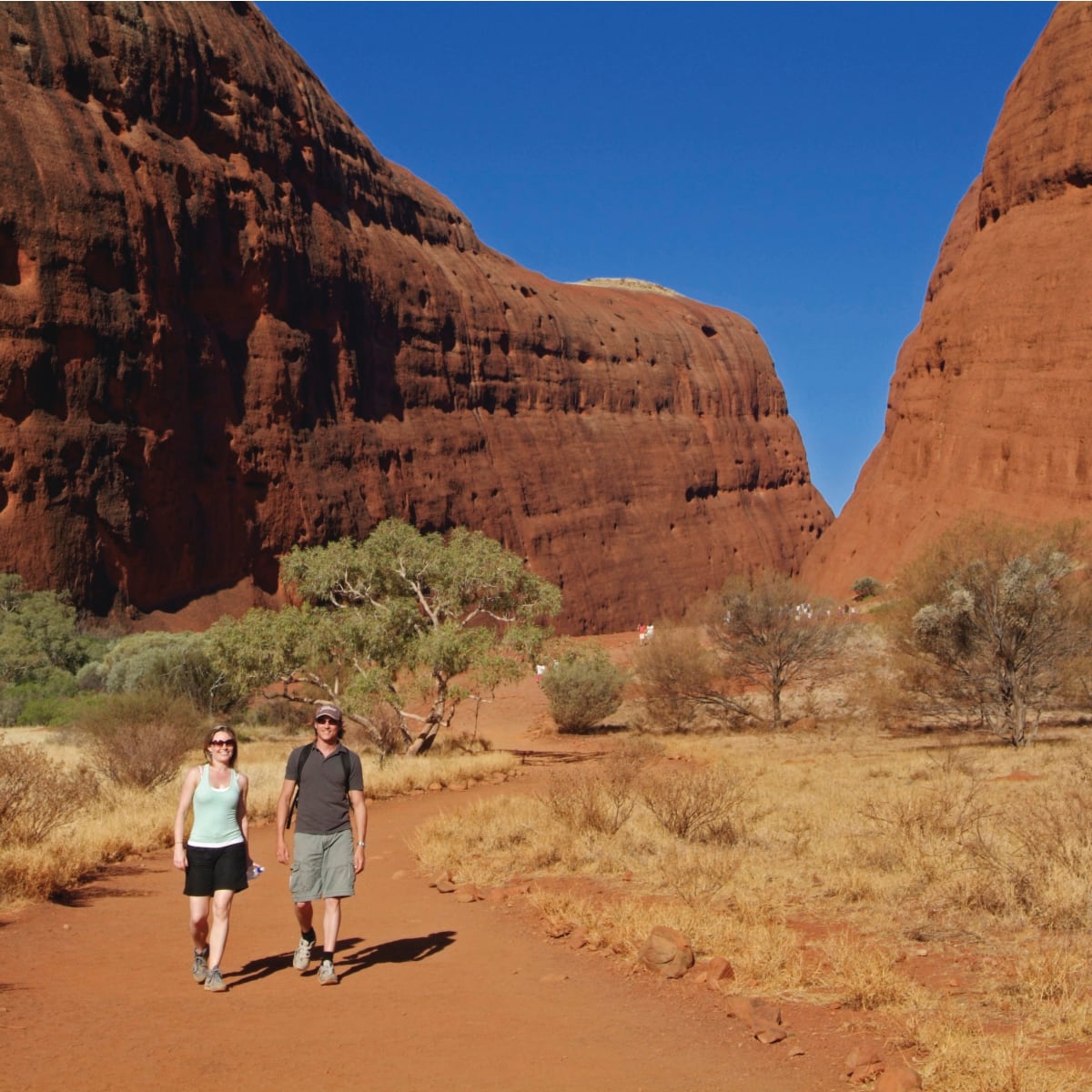 Maps & visitor guides | Uluṟu-Kata Tjuṯa National Park | Parks Australia