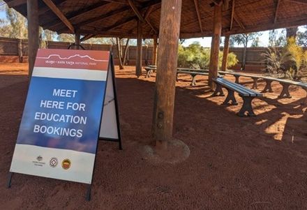 Blue tongue lizard | Uluṟu-Kata Tjuṯa National Park | Parks Australia