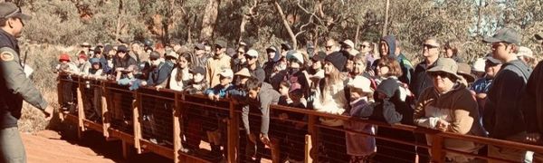 Ranger-guided Mala walk | Uluṟu-Kata Tjuṯa National Park | Parks Australia