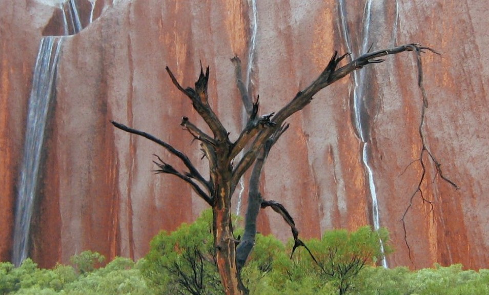 Rain on the rock | Uluṟu-Kata Tjuṯa National Park | Parks Australia