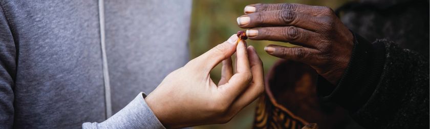 Joint management | Uluṟu-Kata Tjuṯa National Park | Parks Australia